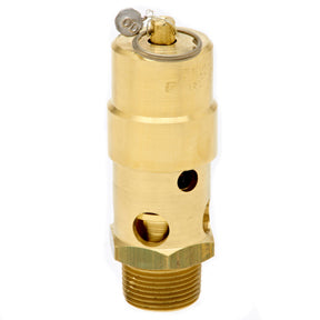 SW10-60 | 1" ASME Soft Seat Safety Valve 60 psi 558 SCFM – West Coast ...